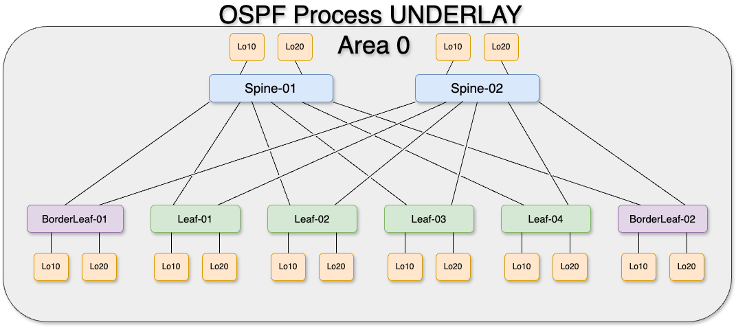 EVPN Lab - OSPF Configuration - Mike Lossmann